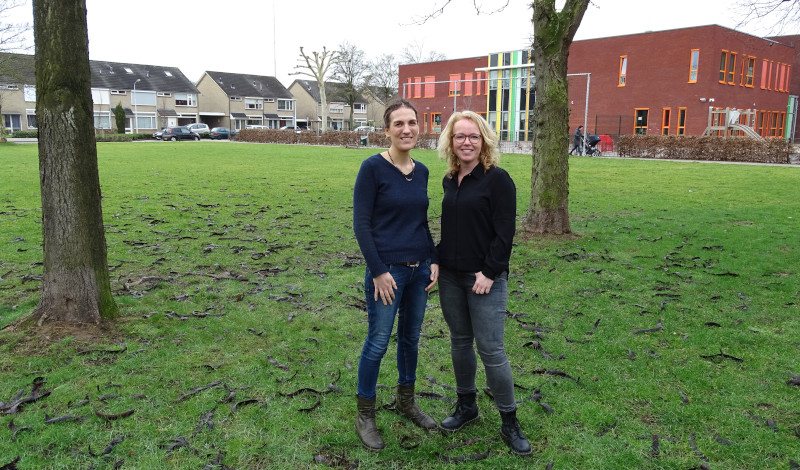 Buurt richt zelf speelplek in met klimbomen, hutjes en trapveldje | De ...