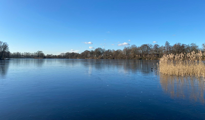 Hoe ziet de toekomst van De Nevelhorst eruit? | De Diemse Courant